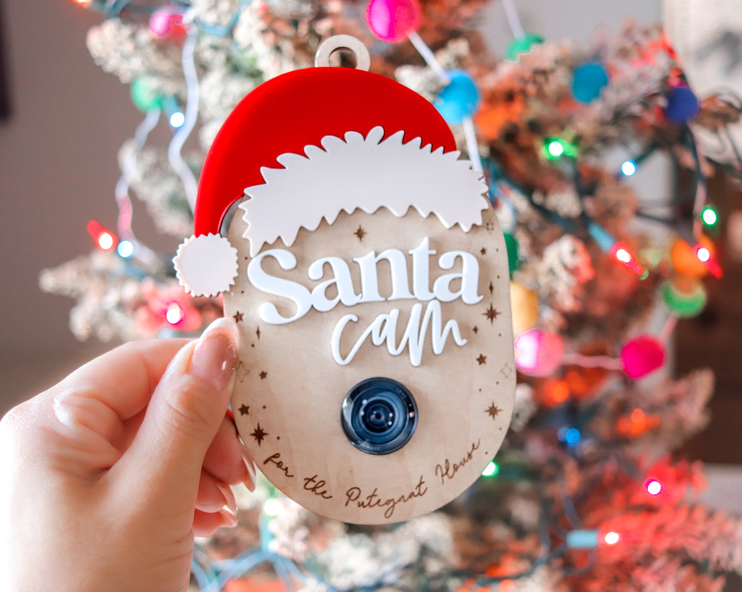 Santa Cam, Christmas Cam | Santa Cam | Santa Surveillance | Santa ...