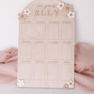 First Year Birthday Board | Monthly Milestone Photo Board | One Year of ...