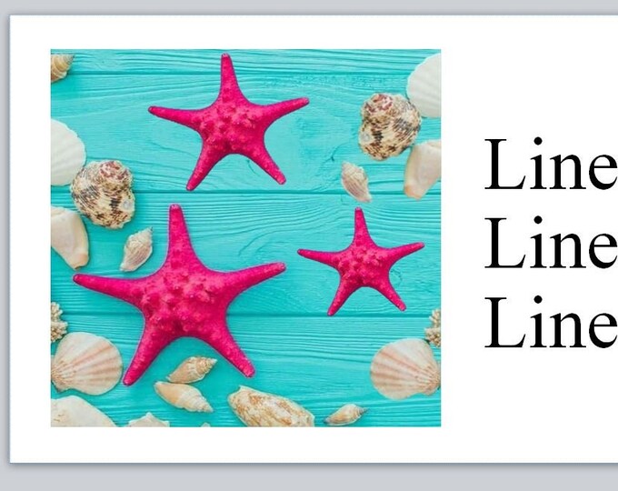 30 Personal Address Labels Sea Shells Starfish jx 139 - Etsy