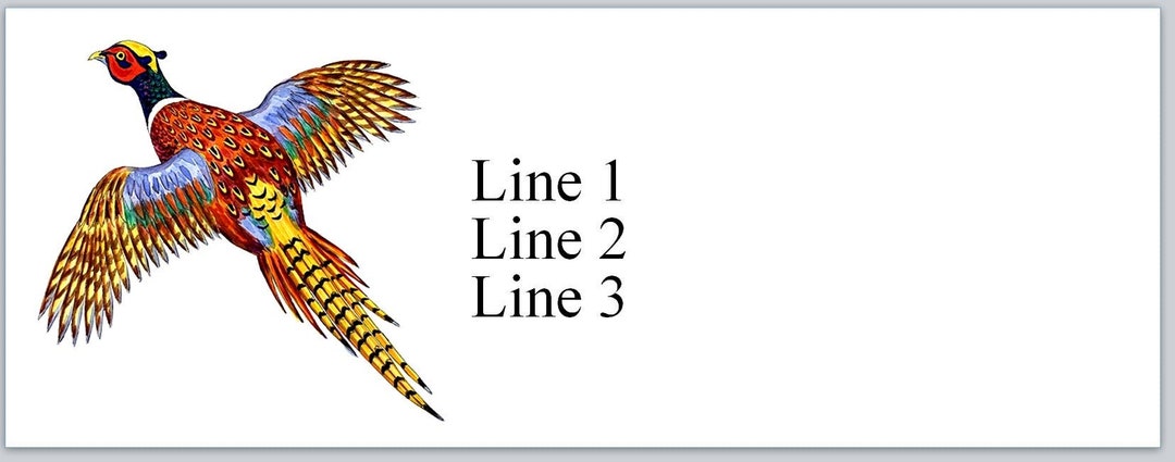 30 Personal Address Labels Country Pheasant Bird jx 568 - Etsy