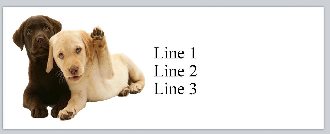 30 Personal Address Labels Cute Labrador Puppies Dogs (jx 300) - Etsy