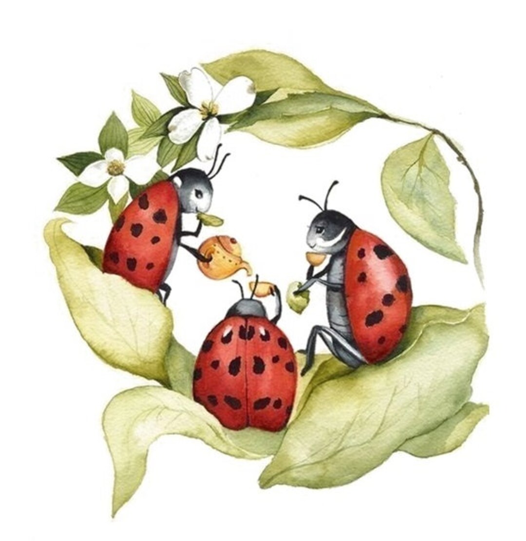30 Personal Address Label Ladybugs Drinking Tea (bx 479) - Etsy