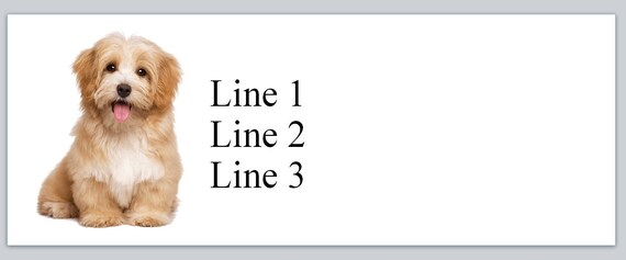 30 Personal Labels Cute Little Puppy Dog p 85 | Etsy