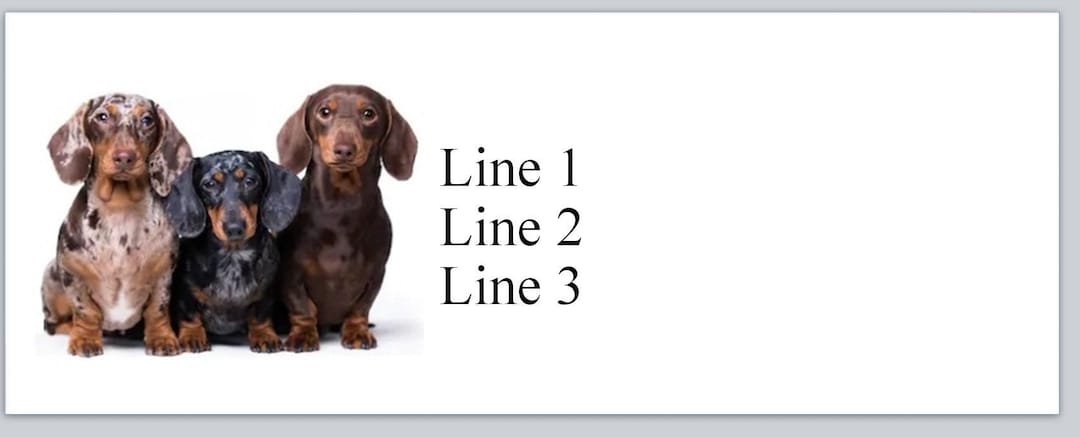 30 Personal Address Labels Three Cute Dachshunds (jx 254) - Etsy
