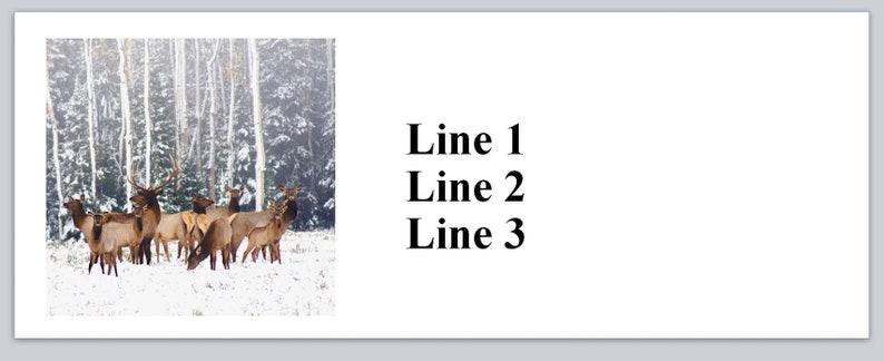 30 Personal Address Labels Deer in the Snow Winter jx 171 - Etsy