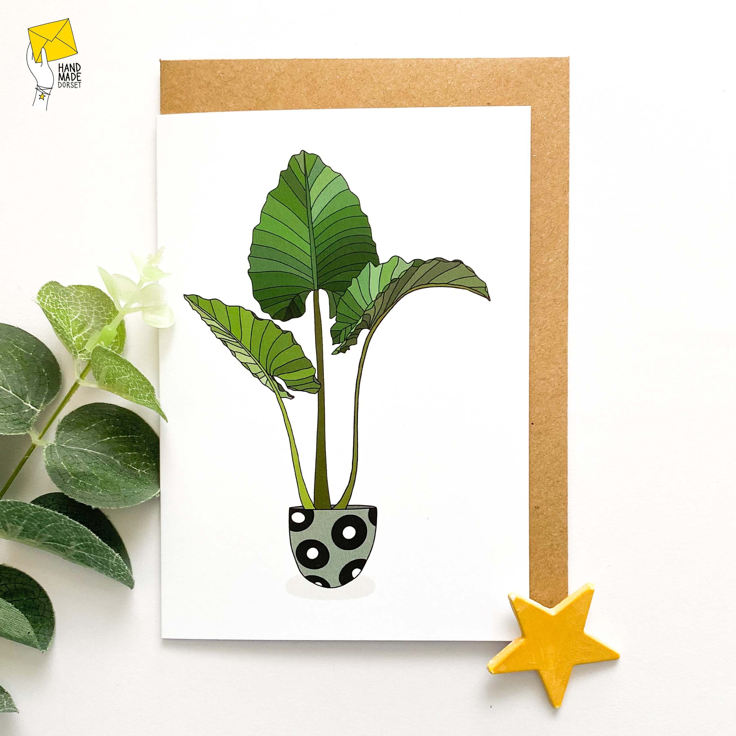 Plant note cardsset of plant cardsblank plant cardsplant | Etsy