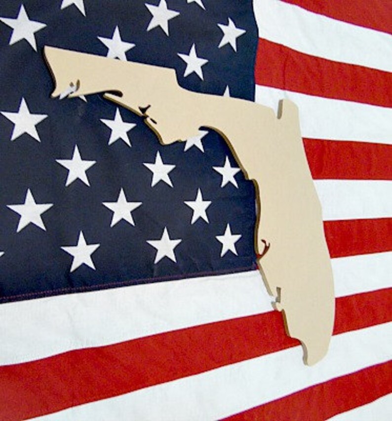 Florida State Craft, Wooden Unfinished, Shape, Paintable, Any State ...