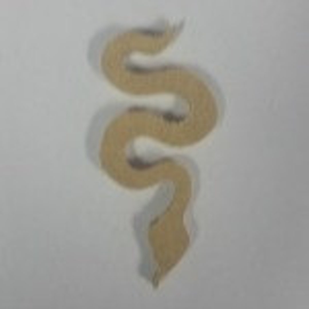 Unfinished Wooden Snake Craft Shape: DIY Reptile Cutout - Etsy