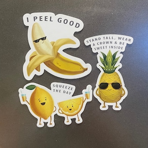Set of 3 Refrigerator Magnets - Veggie Pun - Kitchen Decor - Funny ...