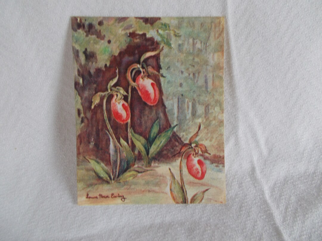 Vintage 1946 Used Louise Howe Ewing Lady Slipper Greeting Card - Etsy