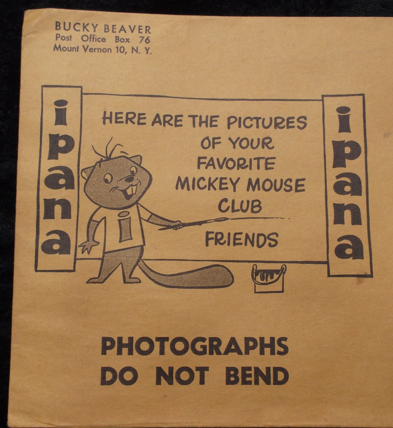 Spin and Marty Mickey Mouse Club Photo Disney World - Etsy