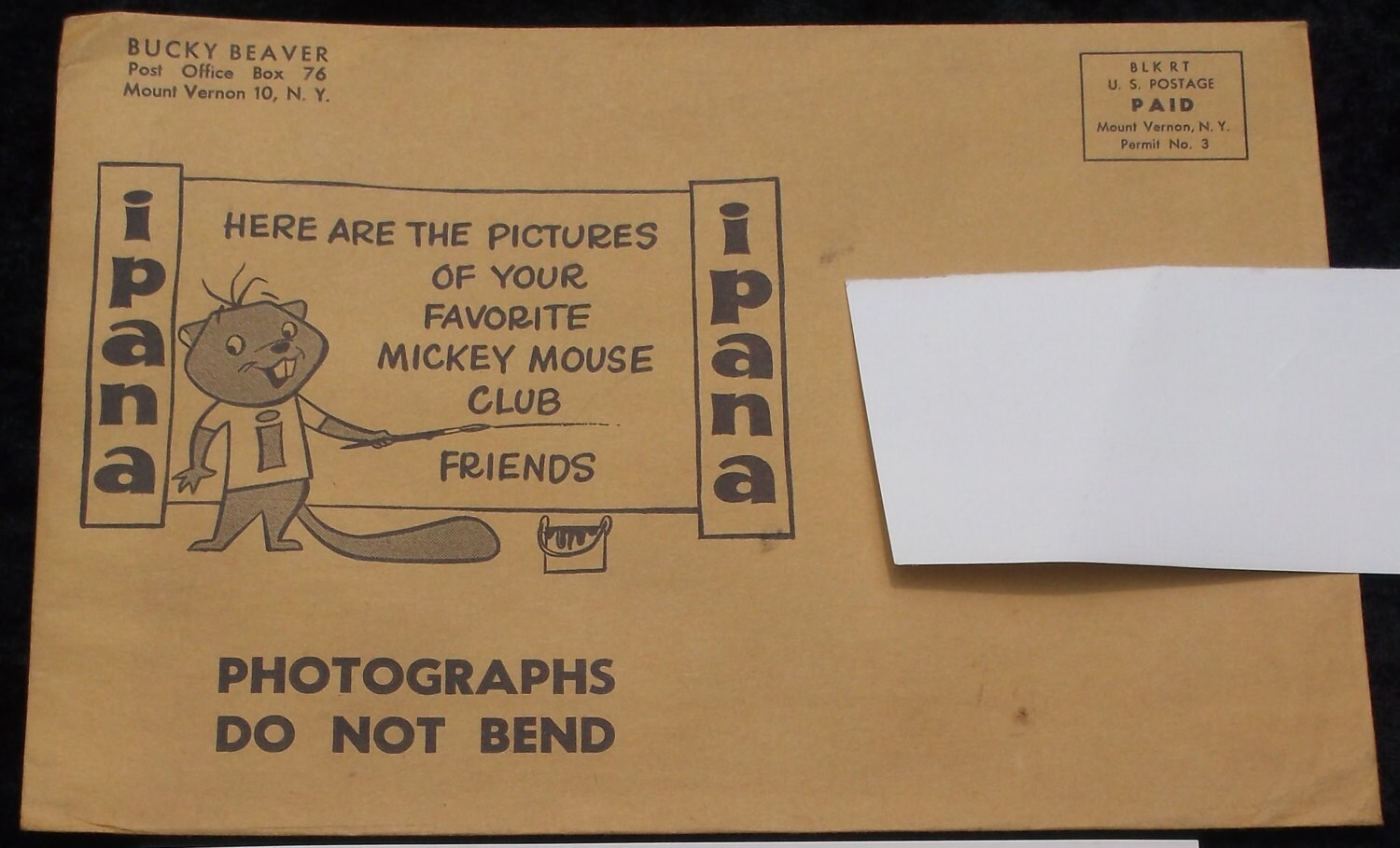 Spin and Marty, Mickey Mouse Club Photo, Disney World - Etsy