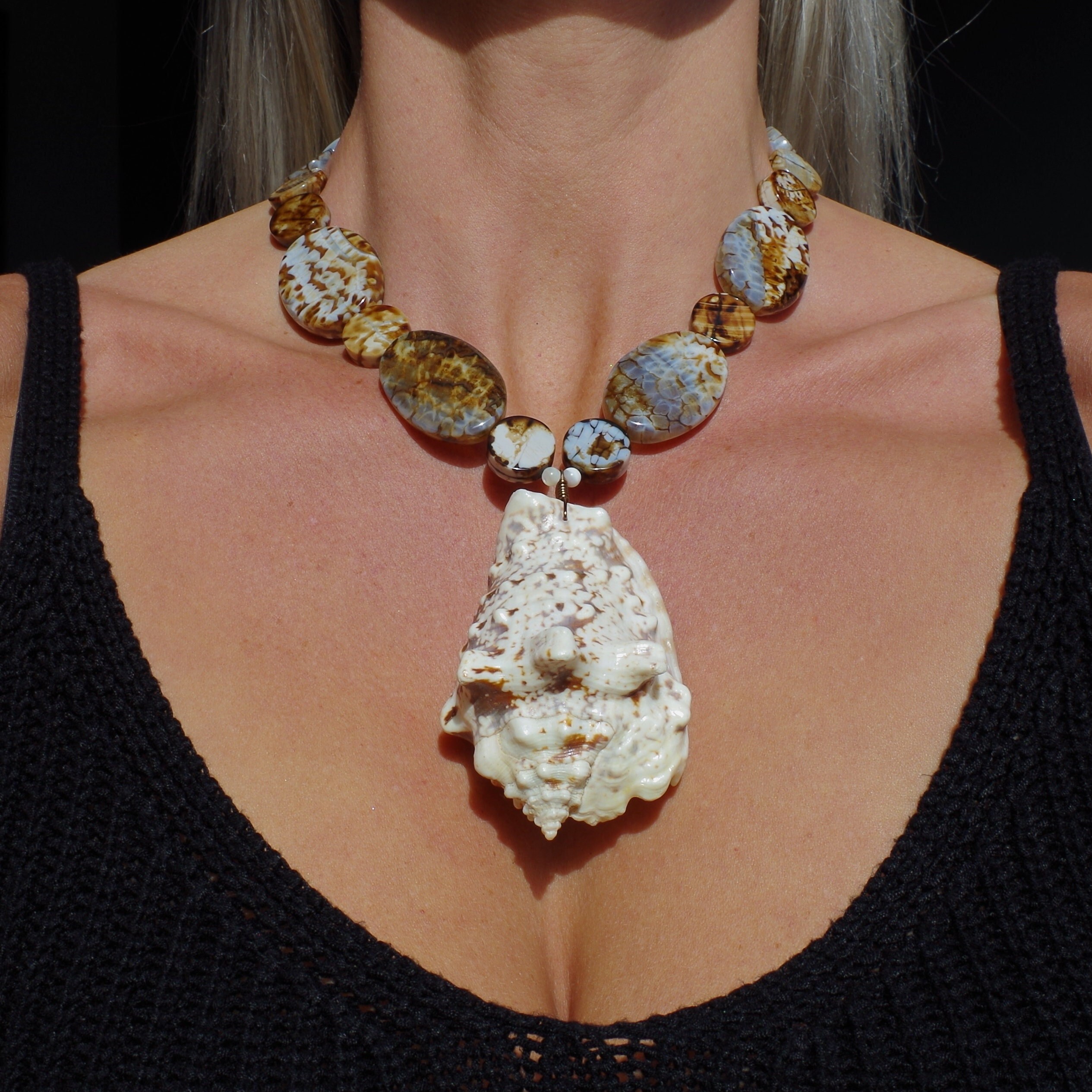 Large Hawkwing Conch Seashell Sliced Oval & Round Brown Fire Crackle ...