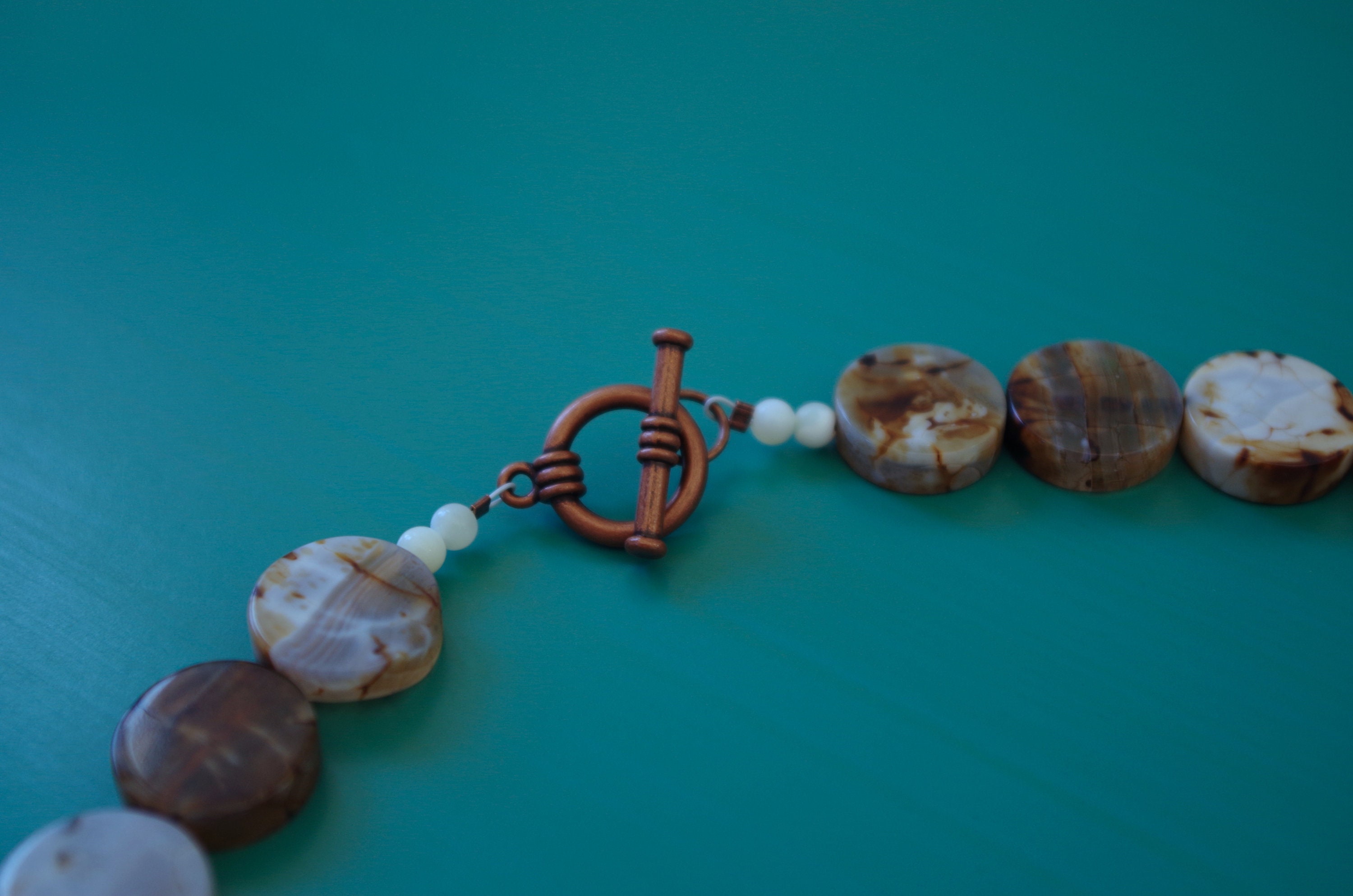 Large Hawkwing Conch Seashell Sliced Oval & Round Brown Fire Crackle ...