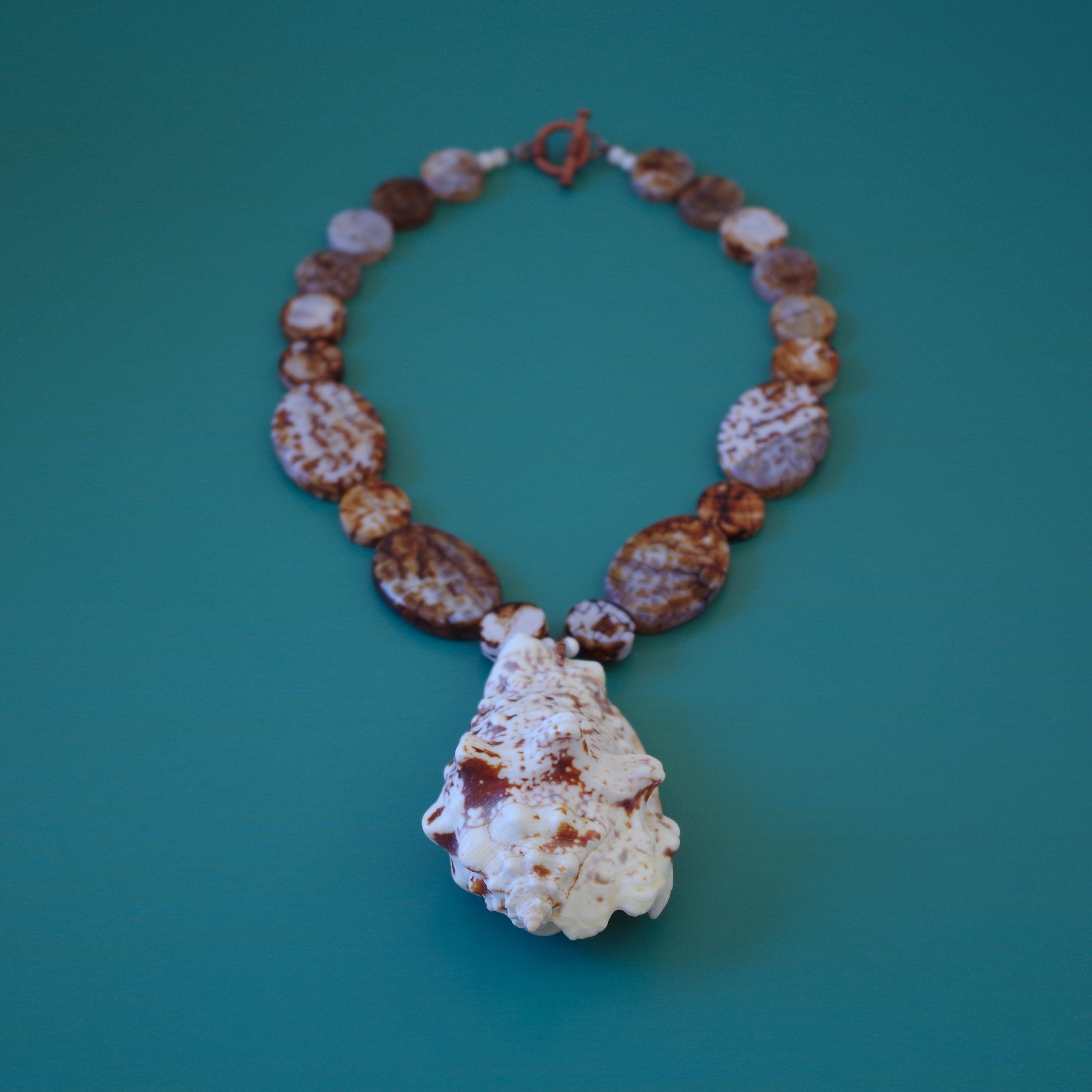 Large Hawkwing Conch Seashell Sliced Oval & Round Brown Fire Crackle ...