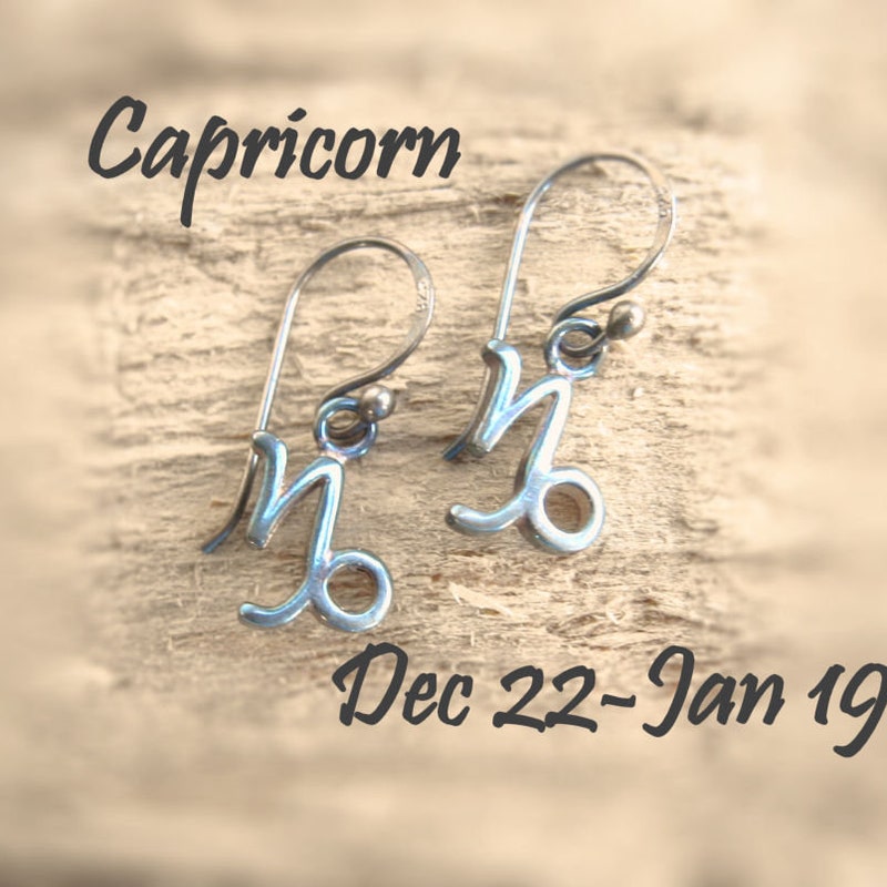 Capricorn Earrings - Etsy