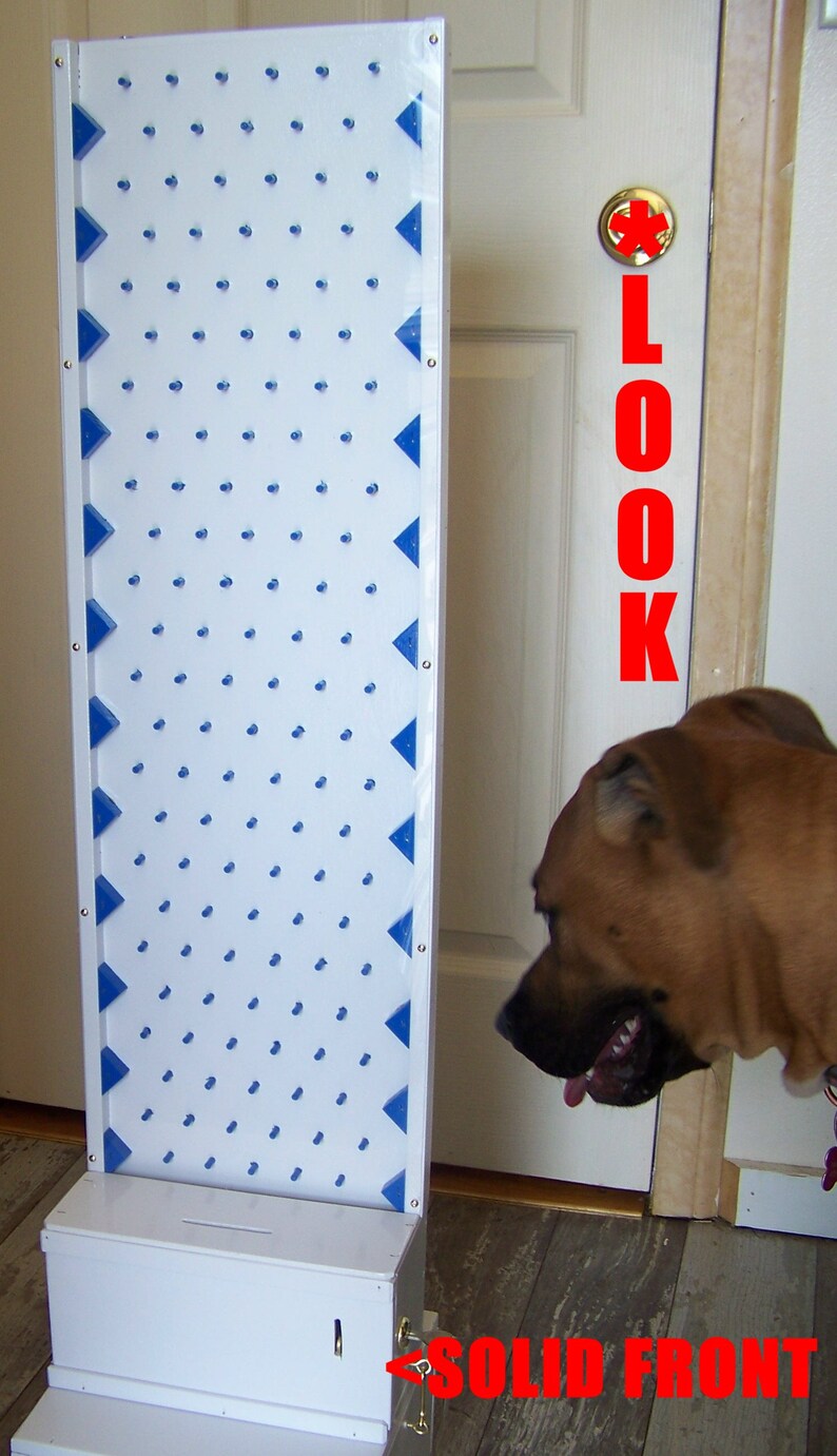 Coin Bank Plinko Piggy Bank Game Donation Box Charity - Etsy