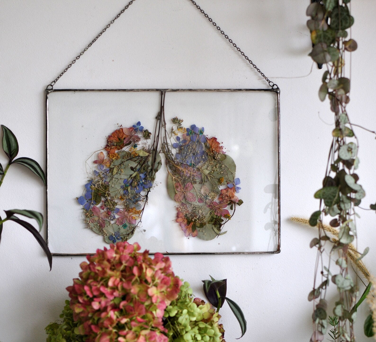 Human Breathing, Lungs, Anathomy Botanical, Breathe, Anatomical ...