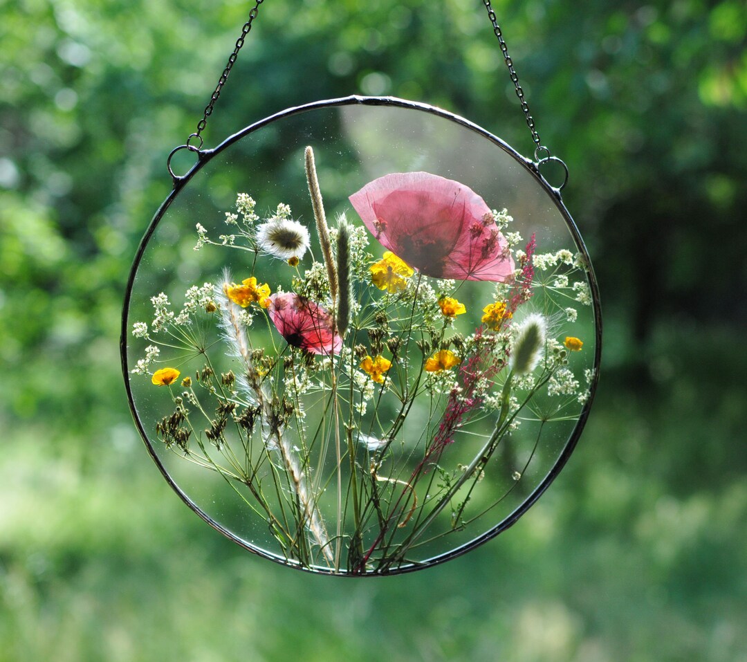 Pressed Flower Art: Real Poppy Circle, Floating Glass Frame - Etsy