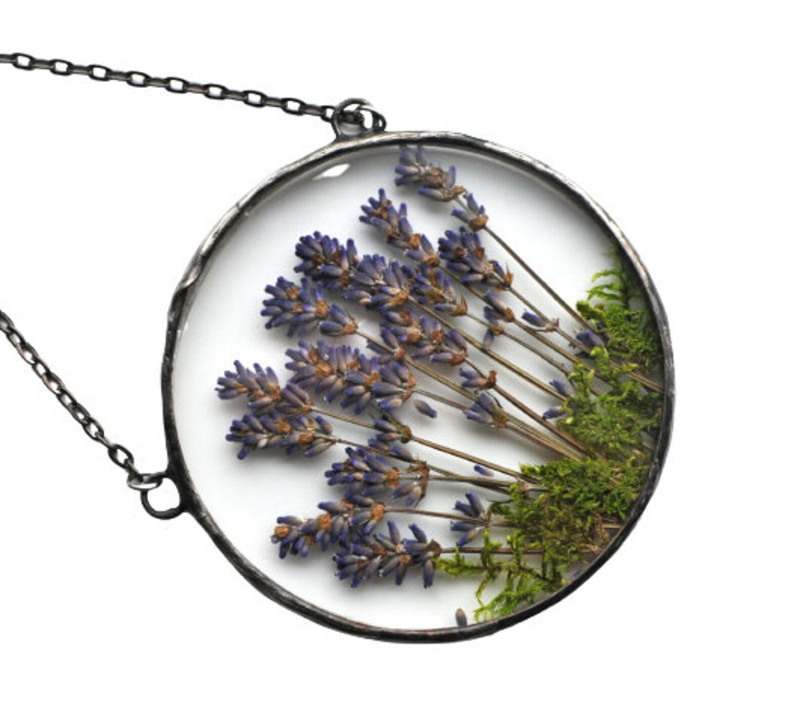 Lavender in Frame Lavender Plant Pressed Lavender Real - Etsy