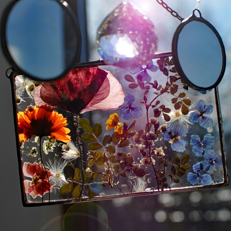 Pressed Tropical Flowers - Etsy