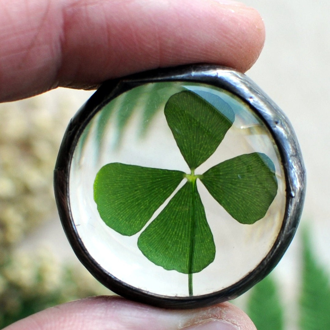 Real Four Leaf Clover Coin: Lucky Charm Token, Pressed Flower - Etsy