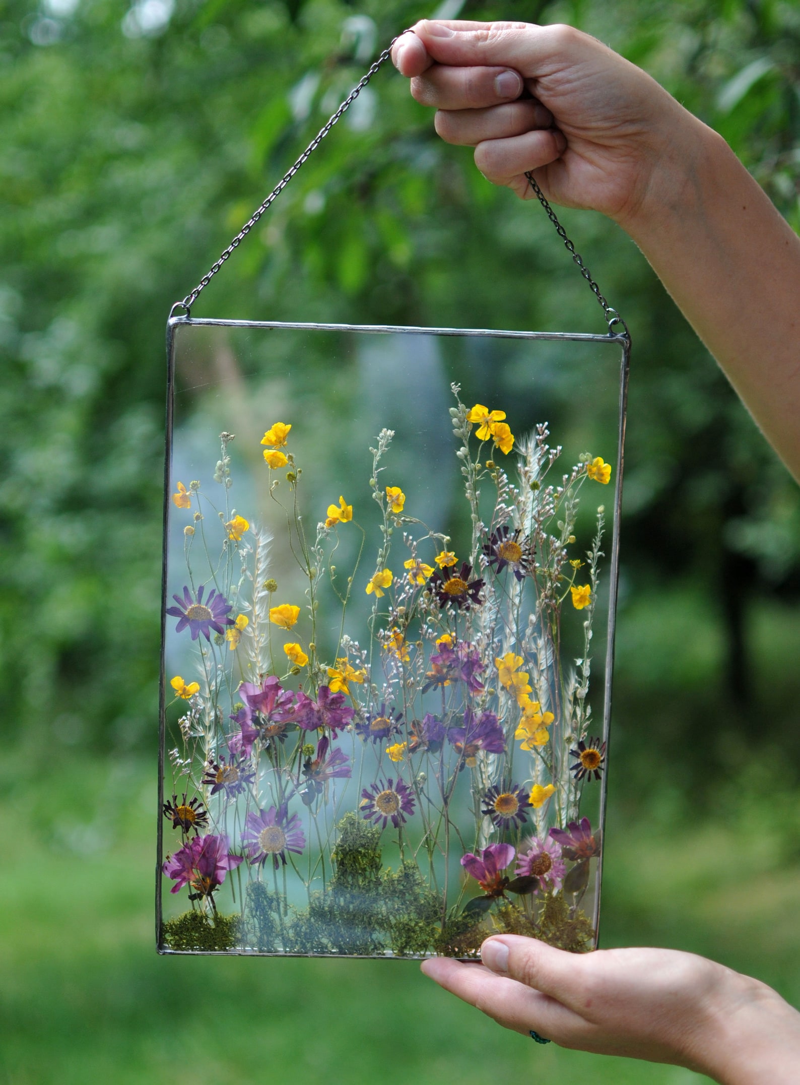 Pressed Flowers Large Pressed Flower 1 st anniversary 1 | Etsy