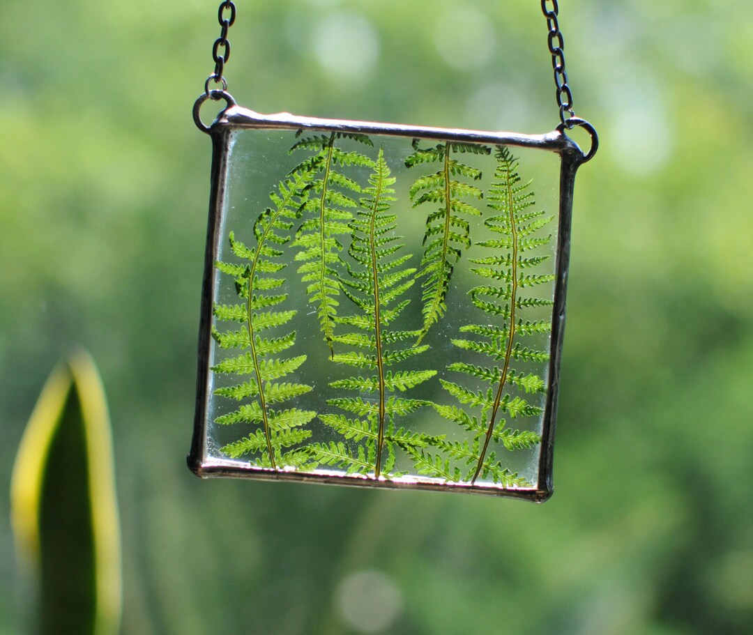 Pressed Fern Stained Glass Frame: Botanical Home Decor - Etsy