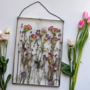 Real Carnations Flowers Herbarium Frame Stained Glass Art Pressed ...