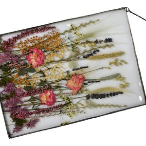 Pressed Flowers Large Pressed Flower 1 St Anniversary 1 - Etsy