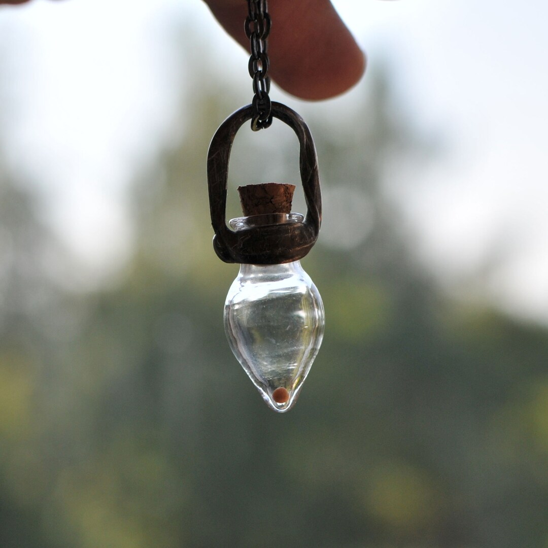 Seed Necklace, Faith, Mustard Seed Jewelry, Christian, Mustard Seed ...