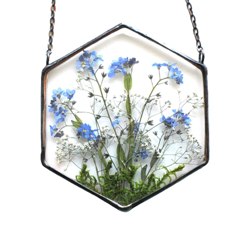 Forget Me Nots Stained Glass Frame Pressed Flower Frame - Etsy