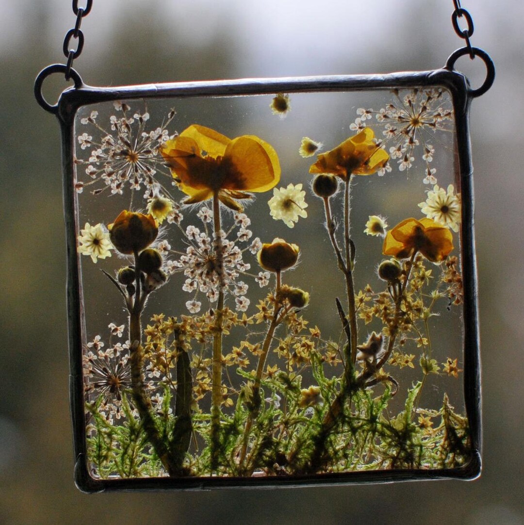 Pressed Flower Art, Dried Flower Frame, Mini Glass Frame, Queen Annes ...