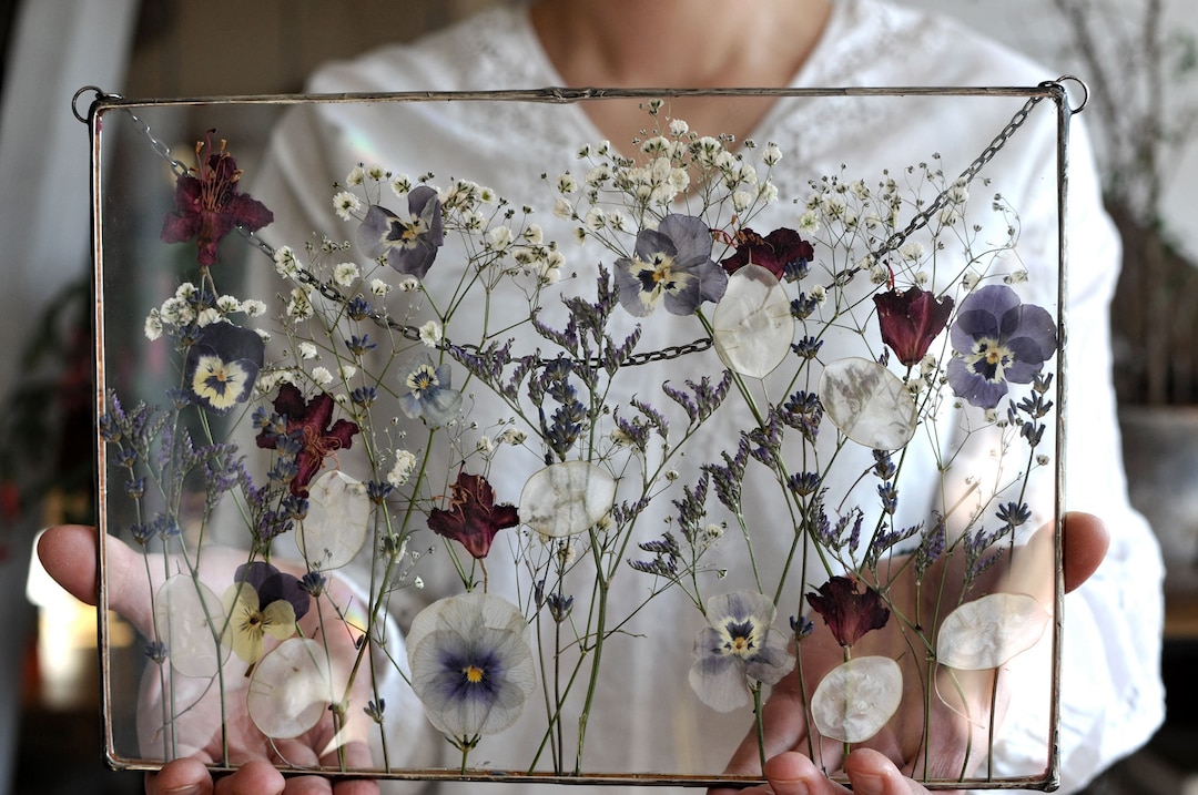 Pressed Pansy Flower Frame: Real Dried Floral Wall Art - Etsy Italia