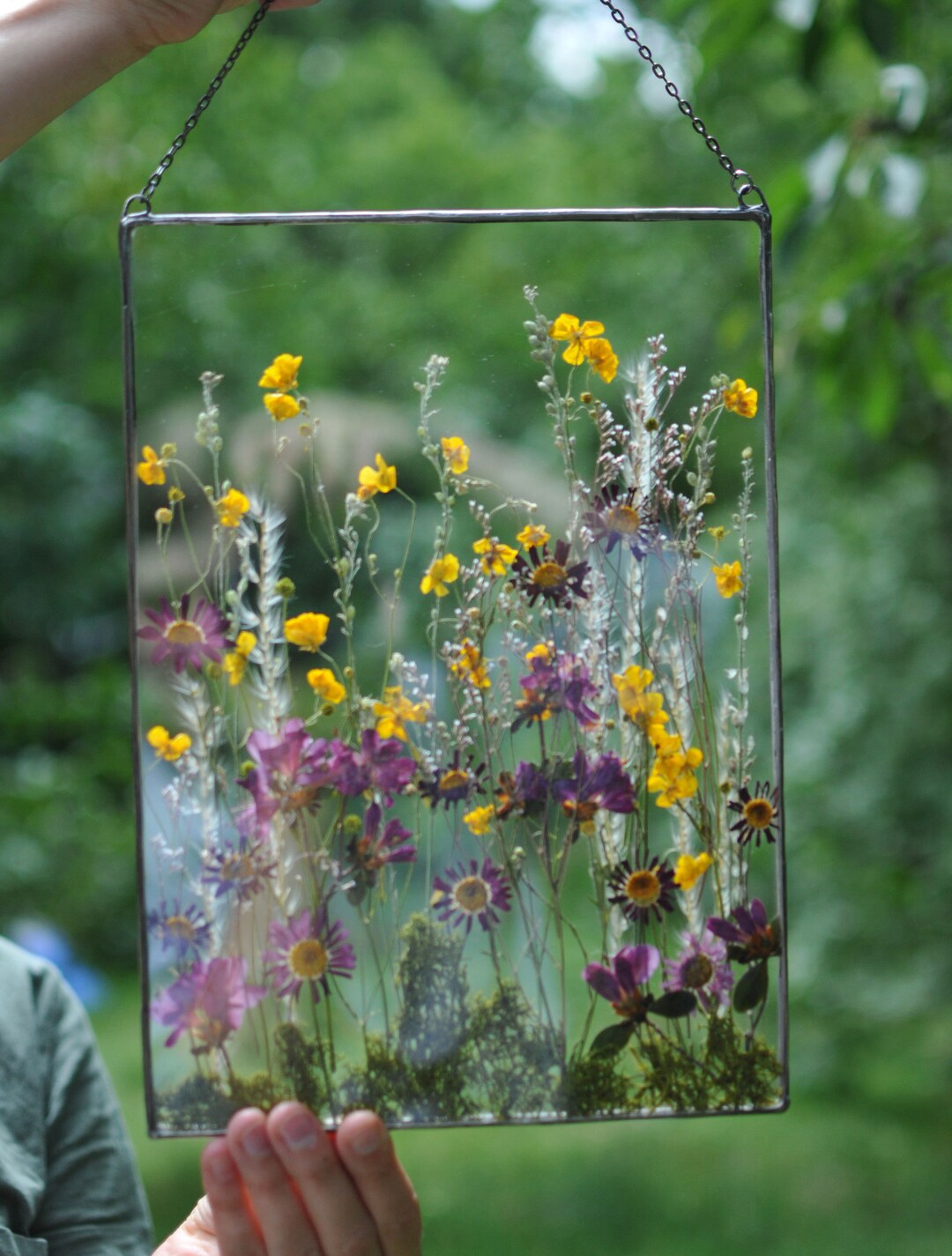 Pressed Flowers, Large Pressed Flower, 1 St Anniversary, 1 Year ...