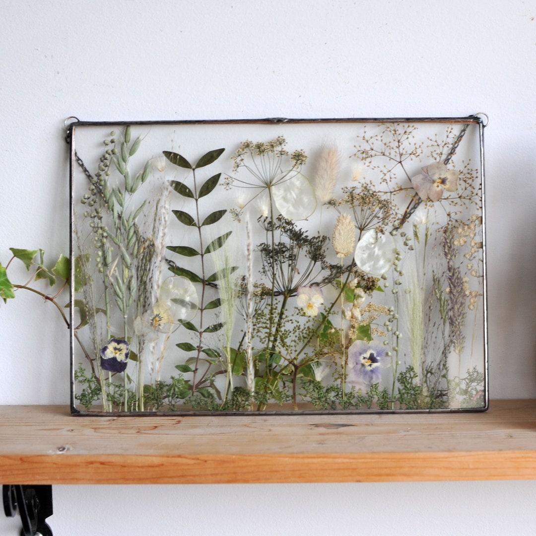 A4 8.27 X 11.69, Botanical Decor, Botanical Interior Design, Dried ...
