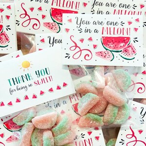 Party Favor | Set of Goodie Bag + Gift Tag | Sour Watermelon Gummy ...