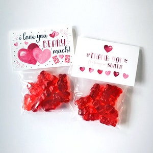 Party Favor Set | Treat Bag + Gift Tag | Gummy Bears | I Love You BEARY ...