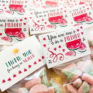 Party Favor | Set of Goodie Bag + Gift Tag | Sour Watermelon Gummy ...