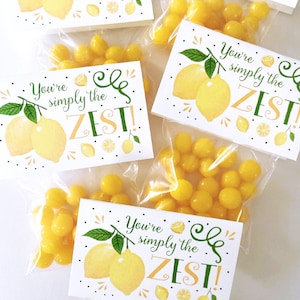 Party Favor | Set of Goodie Bag + Gift Tag | Lemon Hard Candy | You're ...