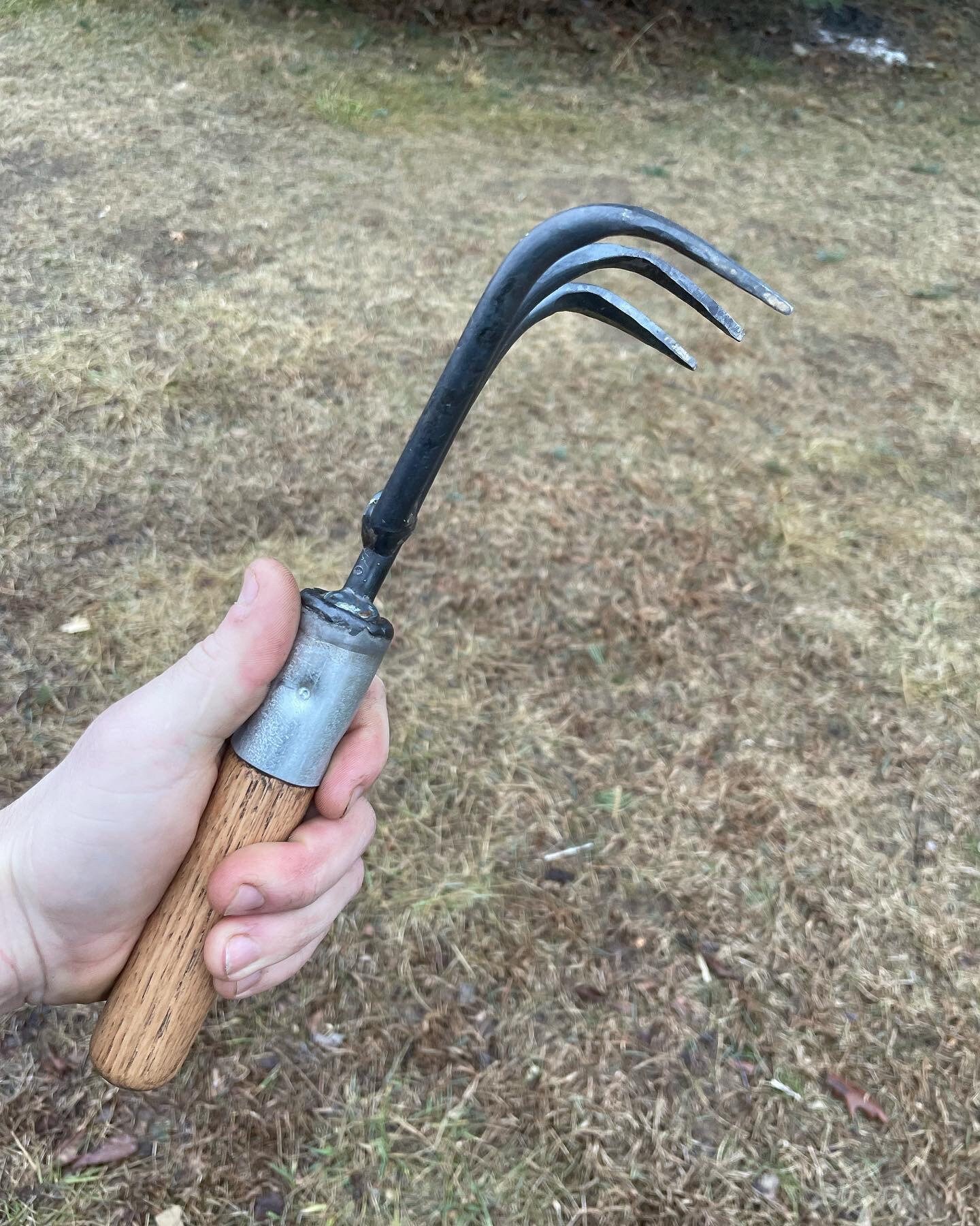 Hand Forged Garden Cultivator, Steel Tines and Collar, Solid Oak Handle ...
