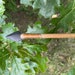 Traditional Medieval European Archer’s Arrow With Hand Forged Steel Tip ...