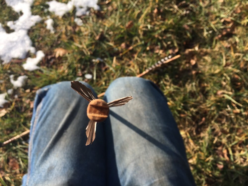 Handmade Arrow, Medieval, Forged Steel Blade, Hunting, Archery ...