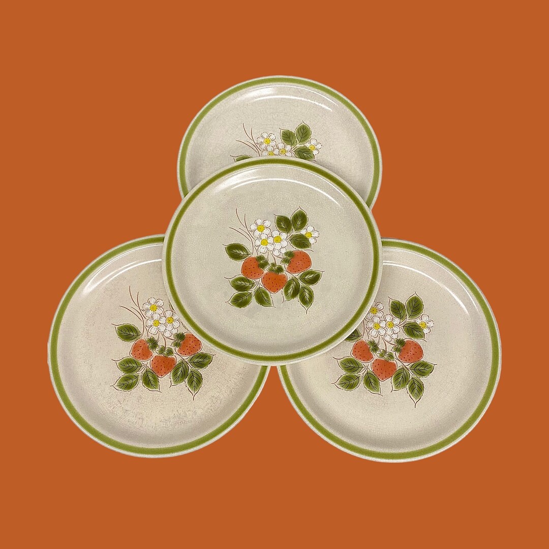Vintage Stoneware Plates 1970s Retro Size 10.75 D - Etsy