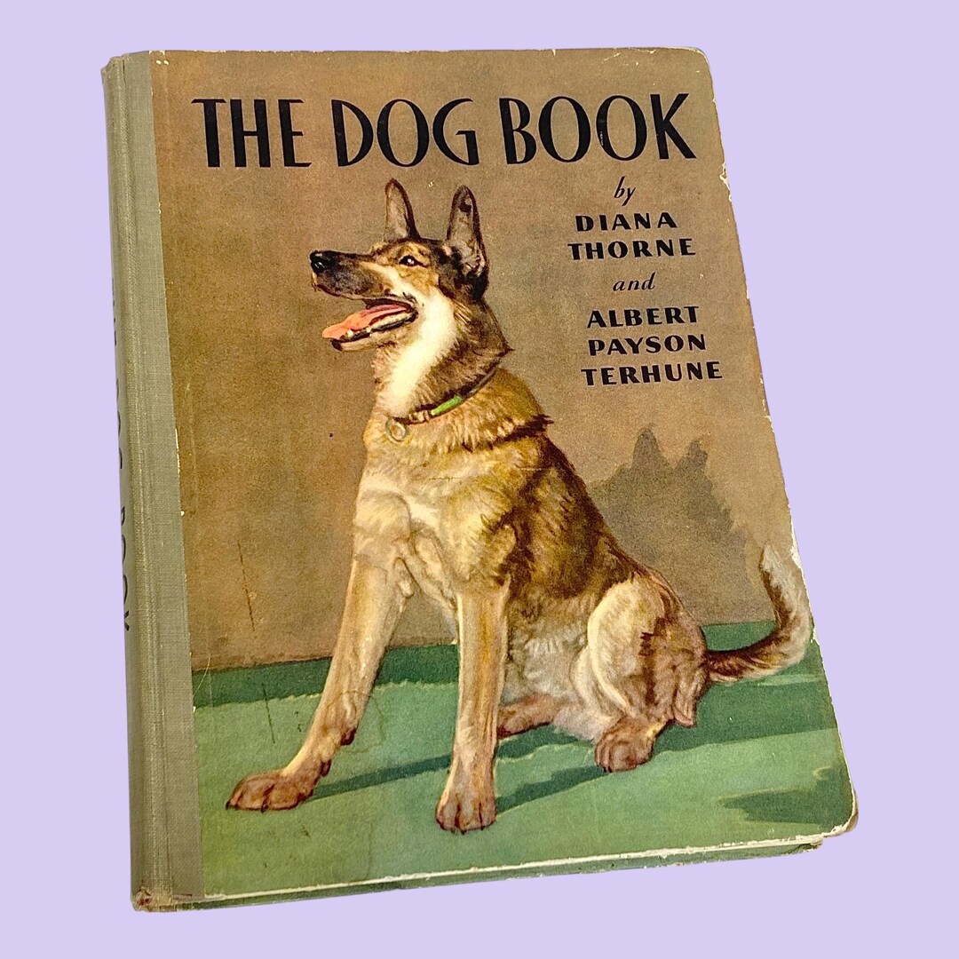 Vintage the Dog Book Retro 1930s Farmhouse + 1st Edition + Diana Thorne + Albert Payson Terhune ...