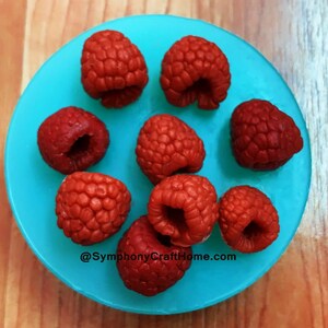 3D Raspberry Mold 9 Cavity Raspberries Mold Fruits Molds | Etsy