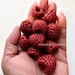 3D Raspberry Mold. 9 Cavity Raspberries Mold. Fruits Molds. Berries ...
