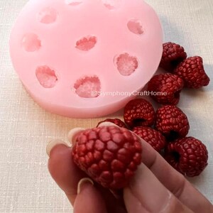 3D Raspberry Mold. 9 Cavity Raspberries Mold. Fruits Molds. Berries ...