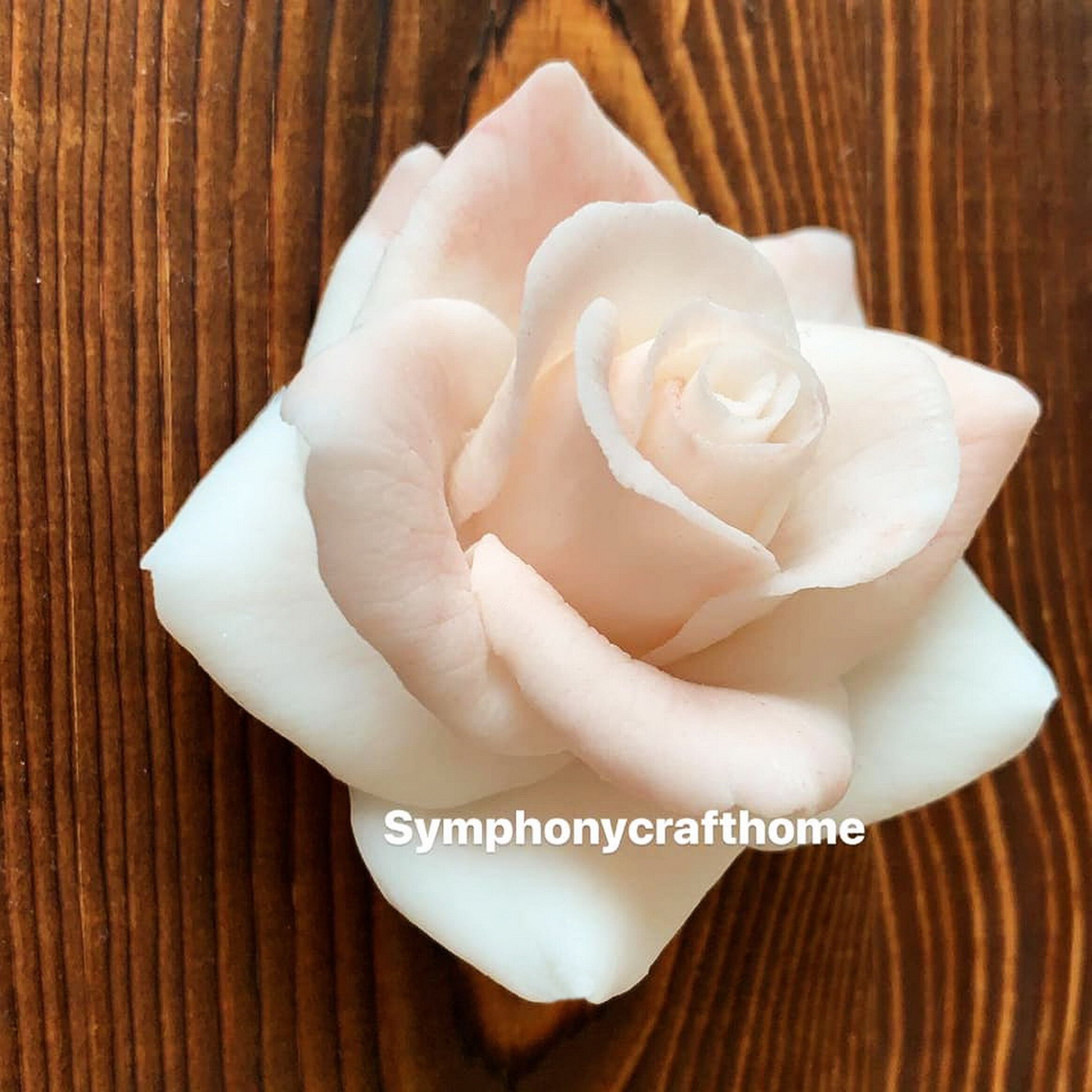 3D rose mold 3D big rose mold symphonycrafthome mold | Etsy