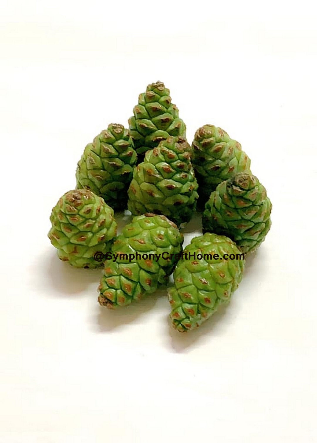 8 Cavity Mold. 3D Mini Pine Cones. 3D Pine Cones Mold. Soap Mold ...